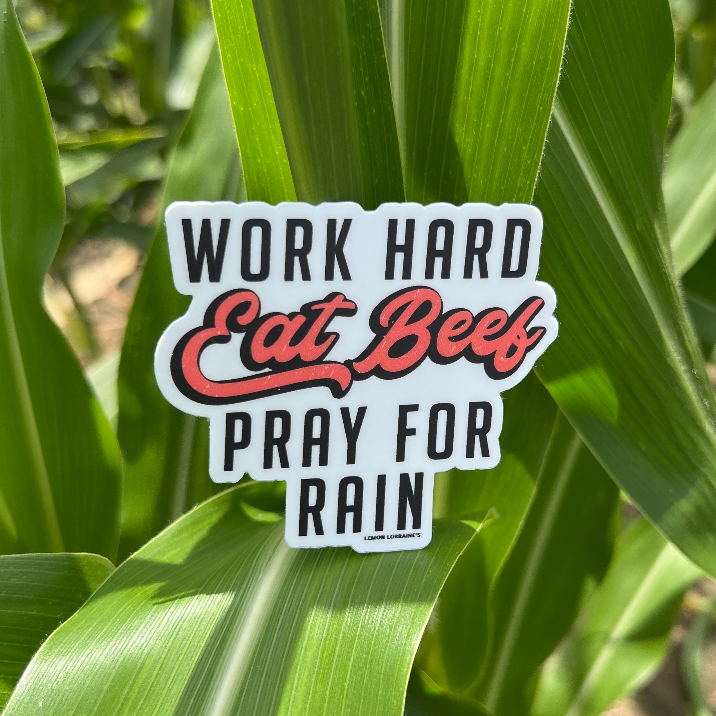 WORK HARD EAT BEEF PRAY FOR RAIN Sticker Decal – Lemon Lorraine's LLC